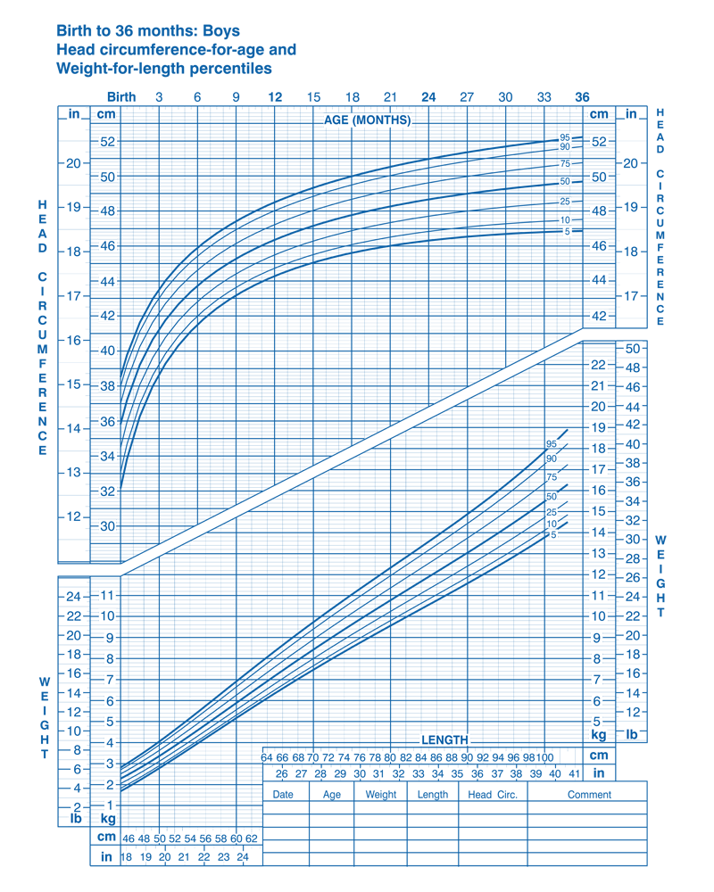 ibtesamah.visionsoftwares.net - /images/growth_charts/