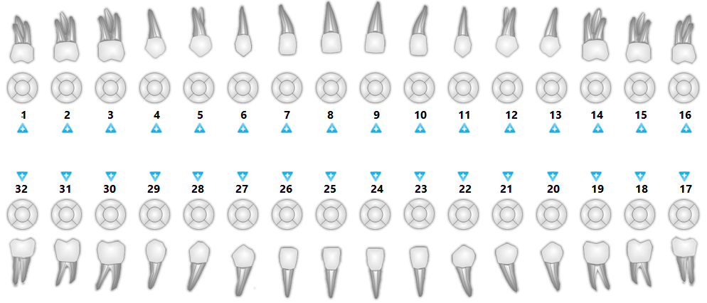 ibtesamah.visionsoftwares.net - /images/tooth_chart/